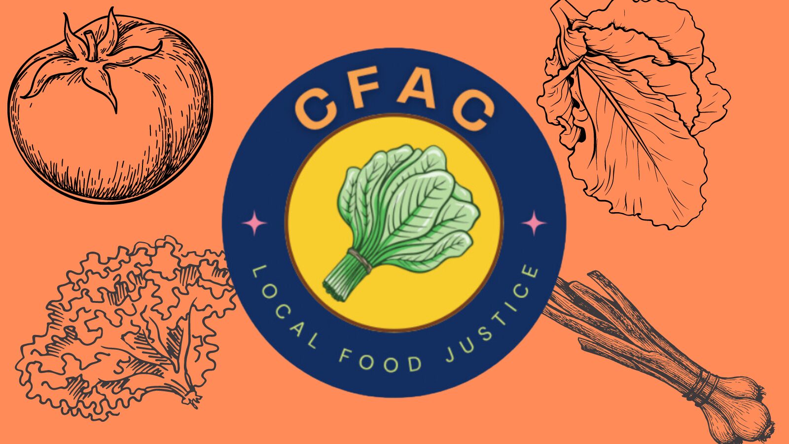 Community Food Access Coalition summer potluck at Flanner Farms ...